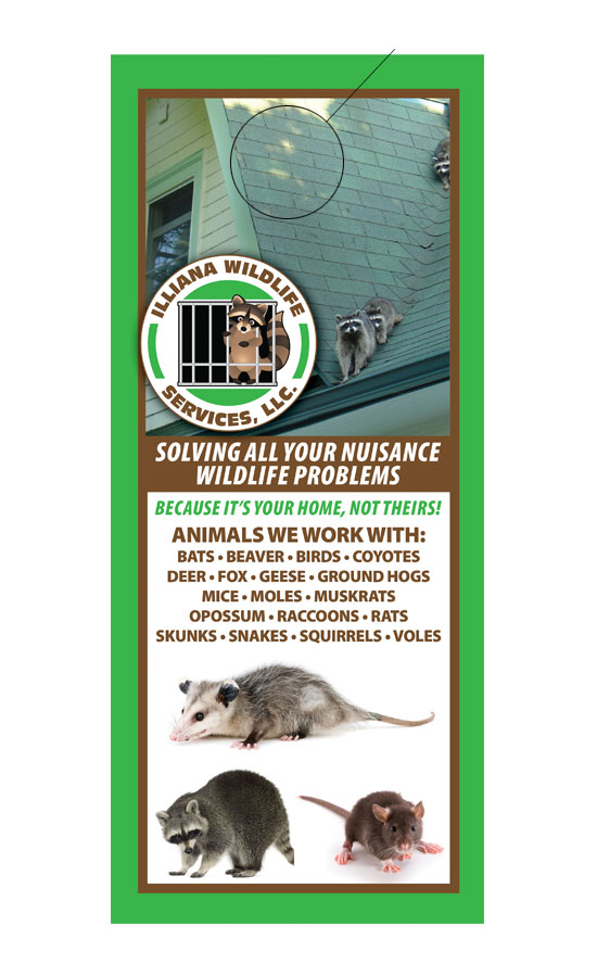 Pest Control Door Hanger Samples